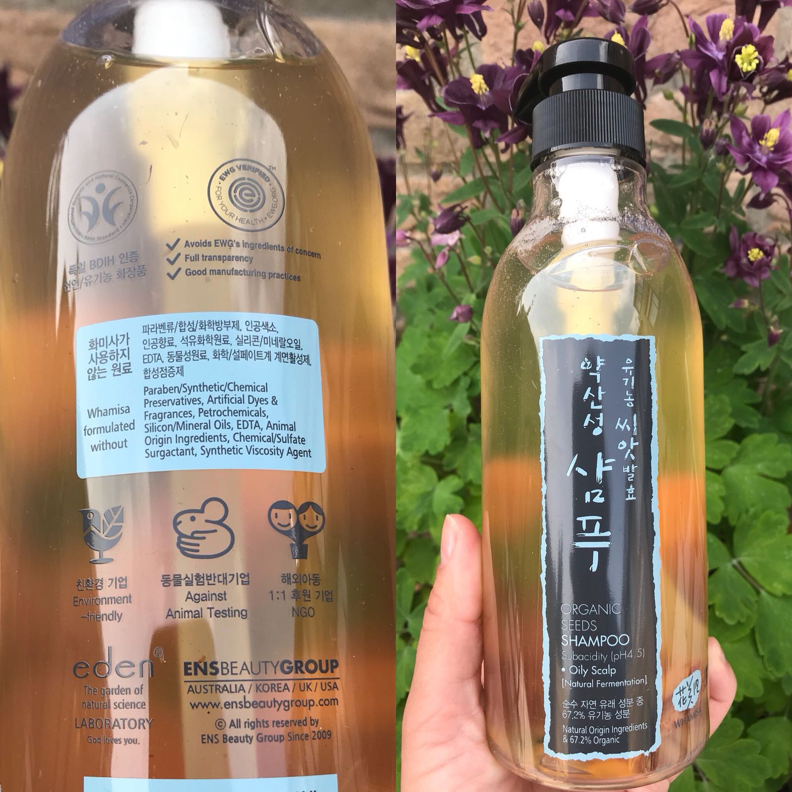 Отзыв о шампуне Whamisa Organic Seeds Hair Shampoo | Массаж лица Амстердам